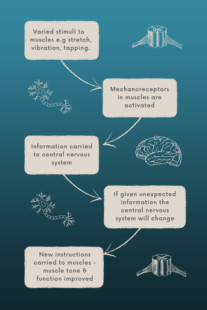 What is Neural Reset Therapy? - Fascialsoul